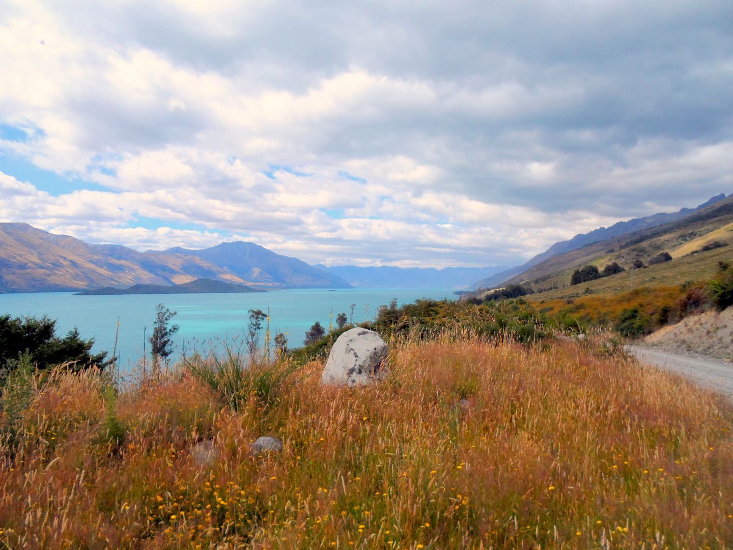 Lake Rere 4hr loop near Kinloch Wilderness Retreat